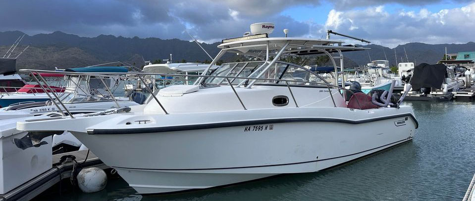 Hawaii Boats and Yachts Magazine